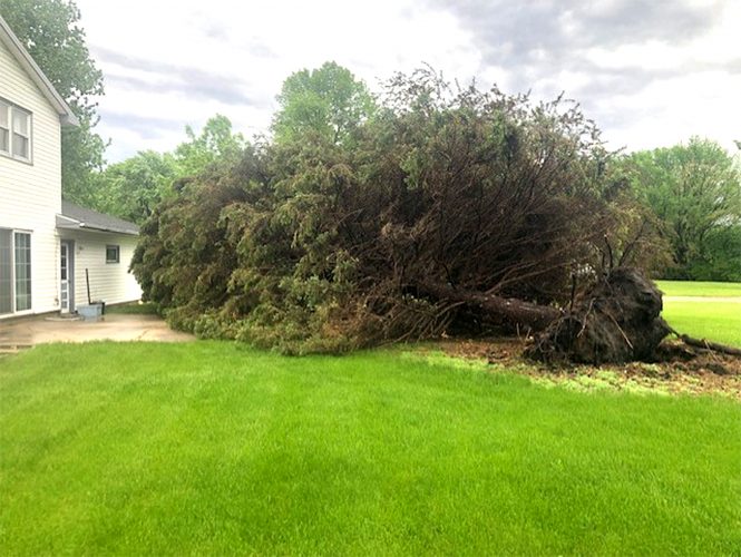 Storm burst | News, Sports, Jobs - The Journal